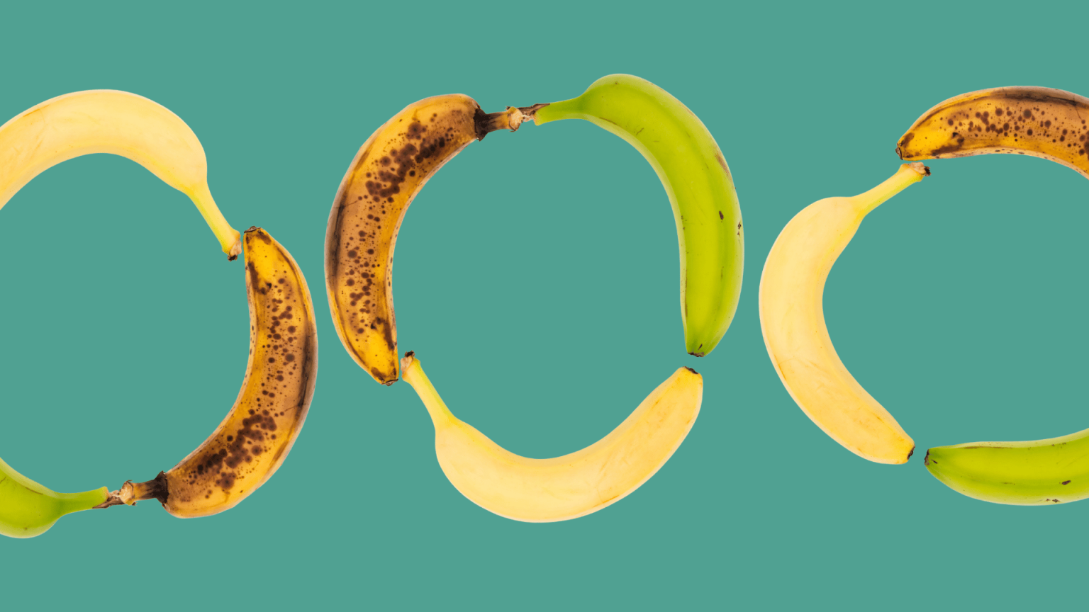 Foodback Loop: Developing Sustainable Food Systems for a Circular Society